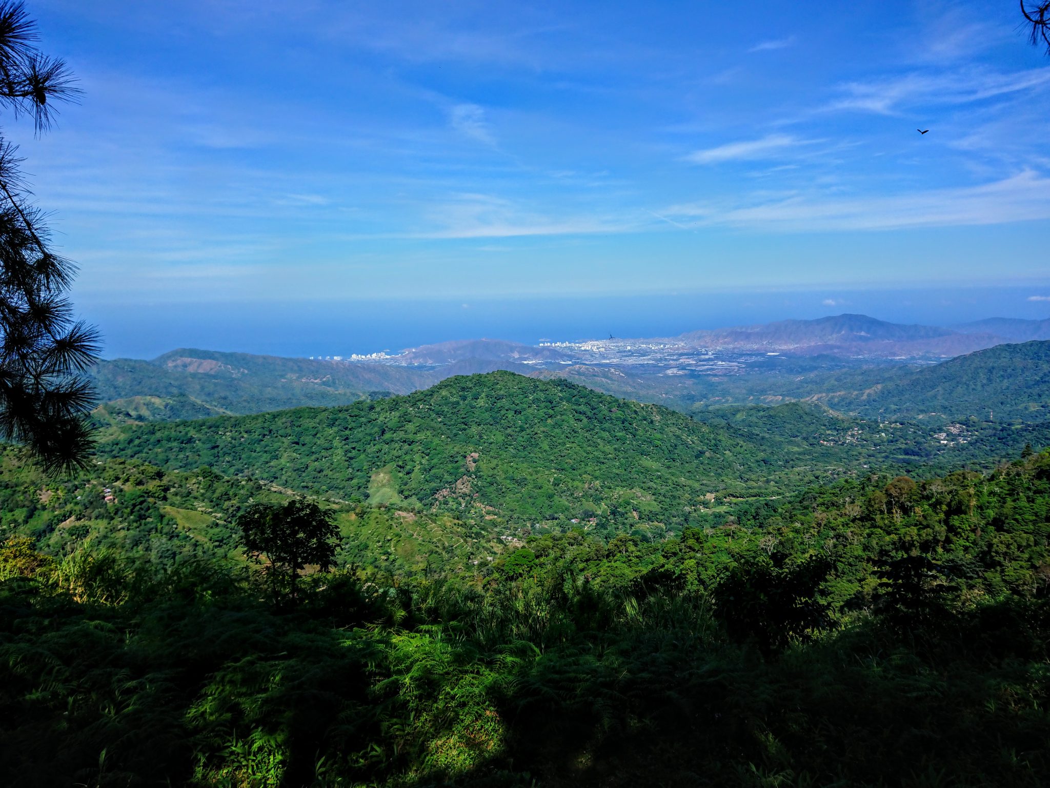 Minca – Because Why Not